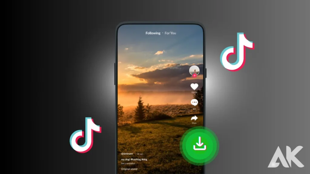 Tiktok视频下载器：毫不费力地下载Tiktok视频2024 - Flnug.com
