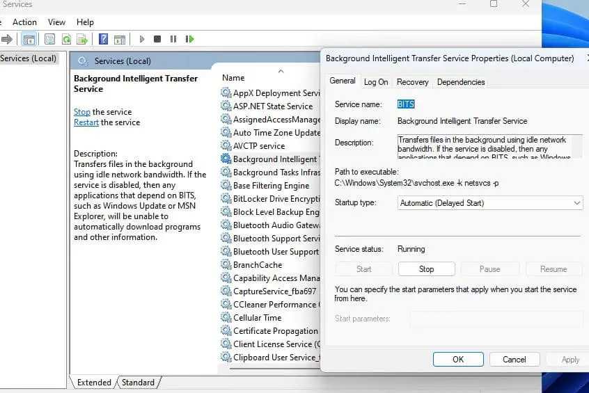 修復 Google Chrome 無法在 Windows 11 上安裝的 7 種方法 - Flnug.com